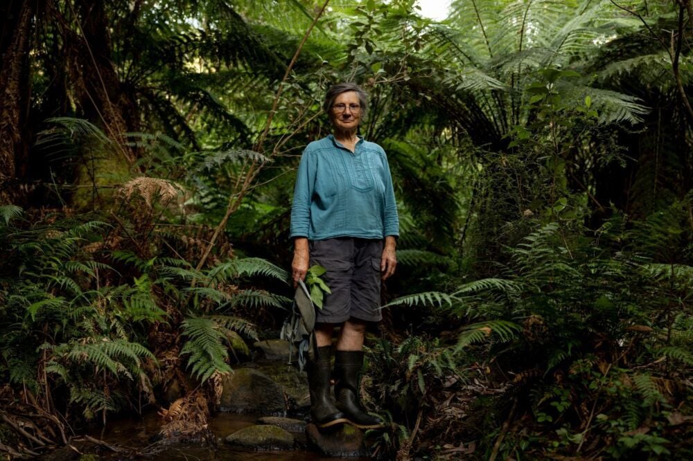 Wilderness Society | Wilderness Journal