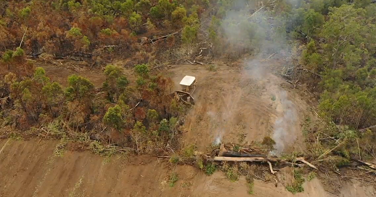 Wilderness Society | Cattle Australia releases ‘land management’…