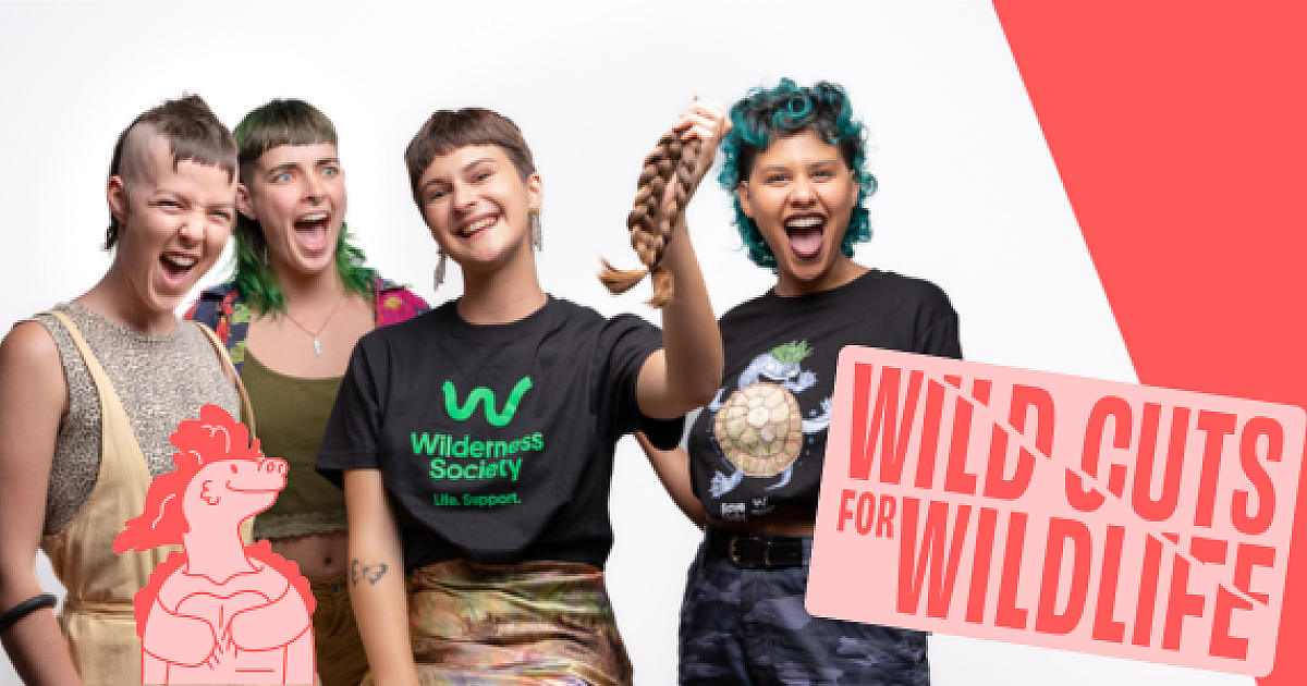 Wilderness Society | Wild Cuts for Wildlife is here